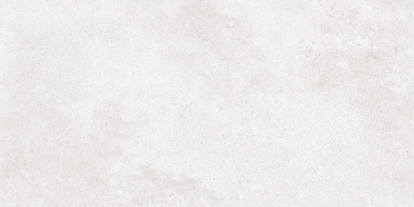 Noa Light Natural Porcelain 1200 x 600 x 10mm — Earth Wood & Stone